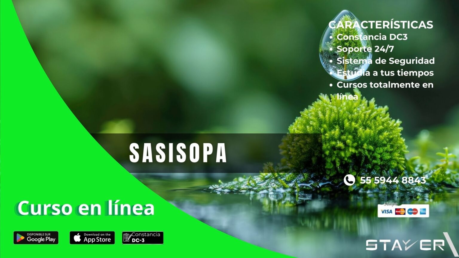 SASISOPA - STAYVER