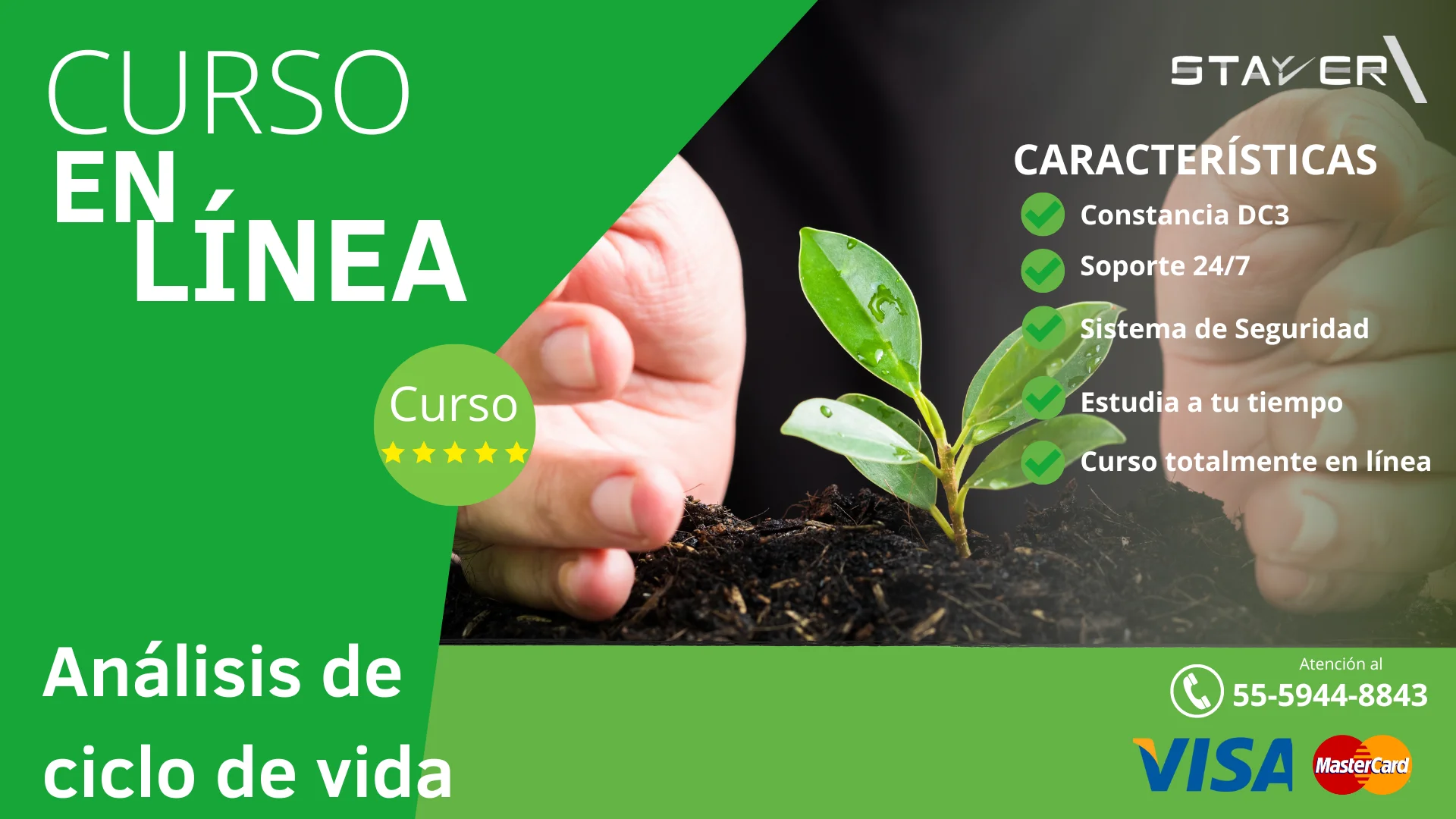 Análisis De Ciclo De Vida Stayver